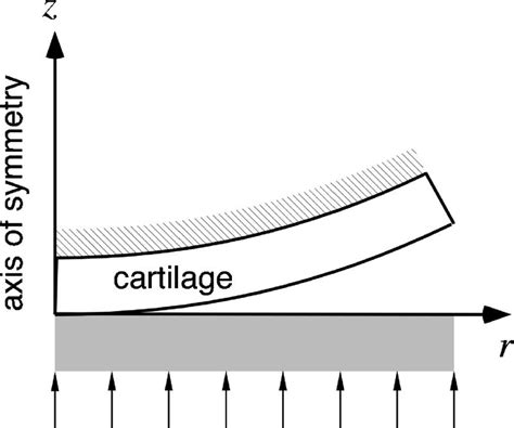 Schematic Of The Axisymmetric Finite Element Contact Analysis Download Scientific Diagram