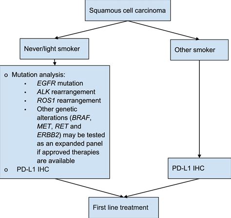 Molecular Testing For Advanced Non Small Cell Lung Cancer In Malaysia