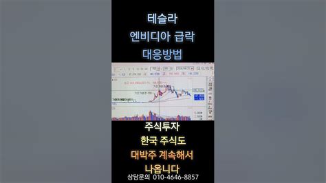 엔비디아 급락 테슬라 대응방법 Youtube