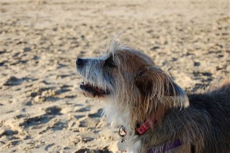 Jessie Jacob Kaplan Moss Flickr