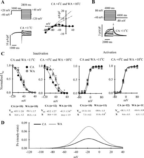 Voltage Dependences Of Steady State Activation And Steady State Download Scientific Diagram