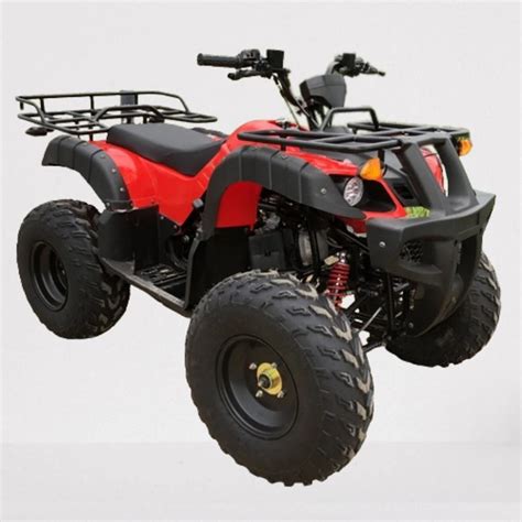 Youth And Adult Quad Bike ATV With Cc Engine ATV And Quad Bike Price