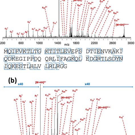 A Schematic Representation Of The Synapt G2 Si Instrument Used In
