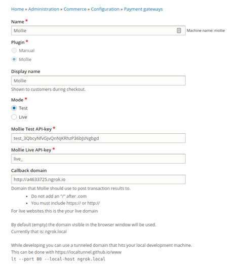 ngrok testing payment gateways in drupal commerce dropsolid digital