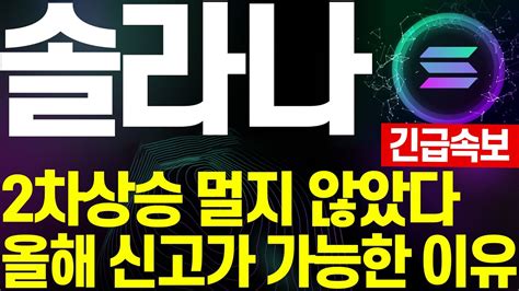 솔라나 이걸 보고 투자하세요 Youtube