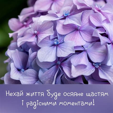 Нехай посміхається душа Привітання з днем народження в 2024 г Праздничные открытки Цветы на
