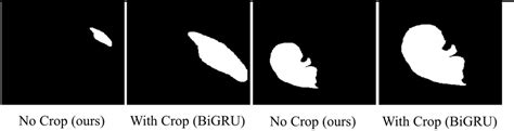 few samples demonstrating the two datasets crop settings download