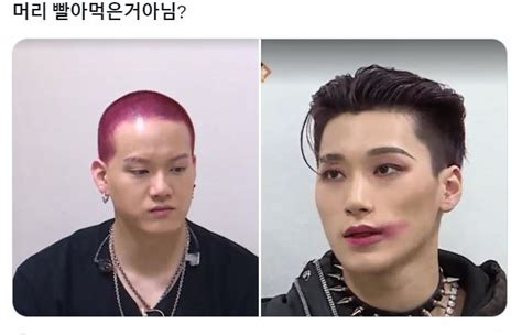 [잡담] 이 짤 개웃겨 인스티즈 Instiz 연예 카테고리