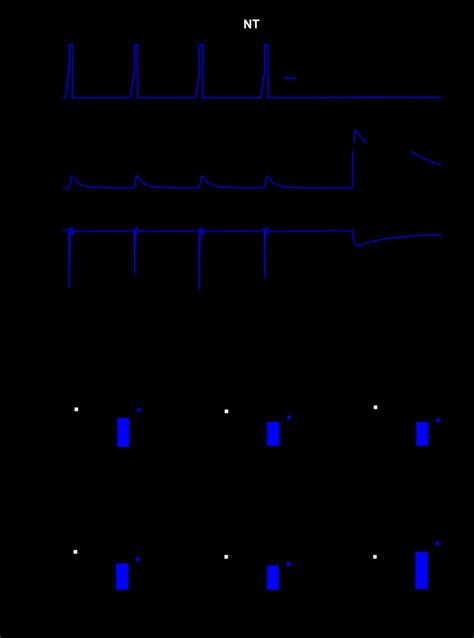 2 Validation Of Computational Models A Simulated Voltage Clamp Download Scientific Diagram