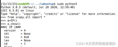 网络安全实验：包嗅探与欺骗工具的原理与实践 Csdn博客
