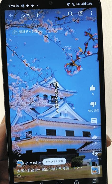 ショート動画で館山の魅力発信 千葉県立安房高生が動画2本を制作公開：東京新聞デジタル
