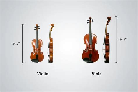 Viola Vs Violin Differences Between Violas And Violins The Difference