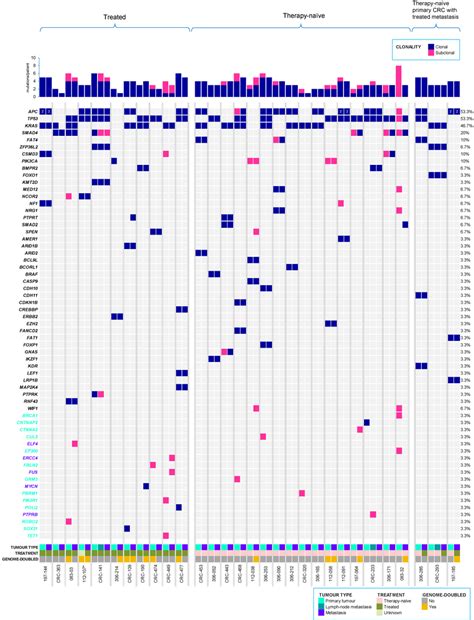 Driver Mutations In Metastatic Colorectal Cancer Crc Cohort All