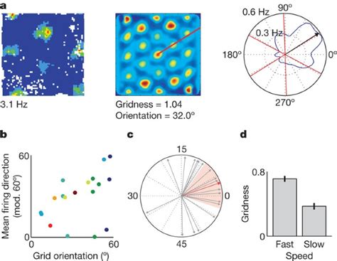 Evidence For Grid Cells In A Human Memory Network Nature