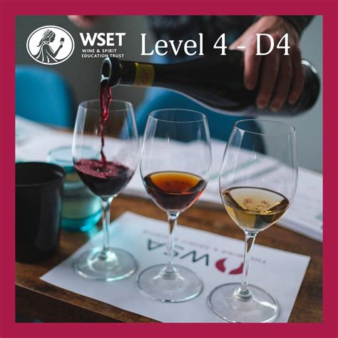Wset Level 4 Diploma In Wines Advance Your Expertise — The Wine And Spirit Archive Education