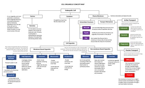 [solved] The Second Picture Cell Concept Map Is A Example Bone Tissue Course Hero