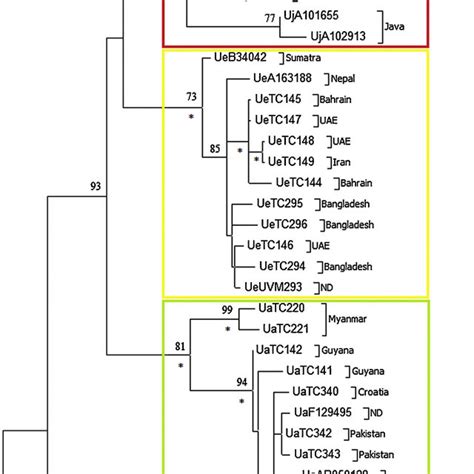 Ml Phylogenetic Tree Reconstructed From A Combined Dataset Of Cytb