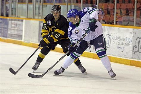 Nipawin Hawks Acquire Ante Mustapic SaskToday Ca