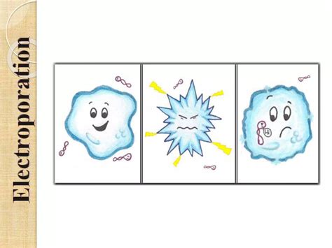 Artificial Vectorless Gene Transfer Methods Pptx