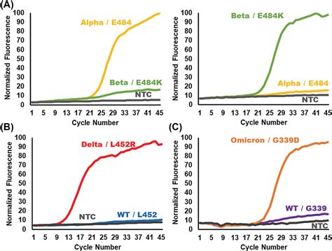 Ligation‐based Variant Typing Produced A Highly Specific Signal For The