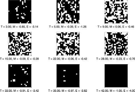 Mcmc Simulations Of 2d Ising Model Variant At A Different Temperature