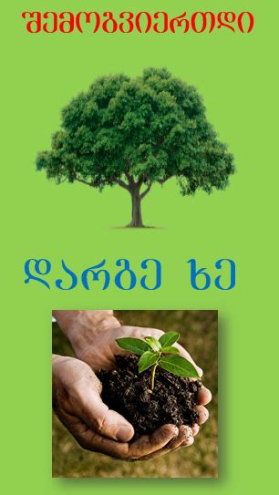 ტყე შეუნახე შვილებსა მამა ხარ შენი ვალია პროექტის საზეიმო დახურვა