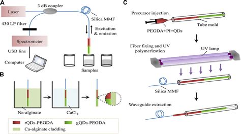 Frontiers Optical Fiber Sensors For Metal Ions Detection Based On Novel Fluorescent Materials