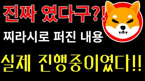 시바이누 코인 찌라시가 아닌 진짜였다 지금 미국은 초난리 상태 시바이누전망 도지코인 비트코인 이더리움 코인전망 Youtube