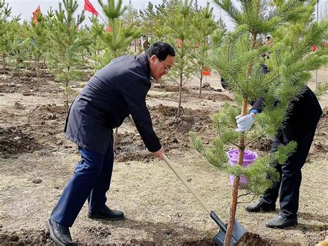 春回大地催新绿 植树造林正当时——张北县开展2023年春季义务植树活动澎湃号·政务澎湃新闻 The Paper