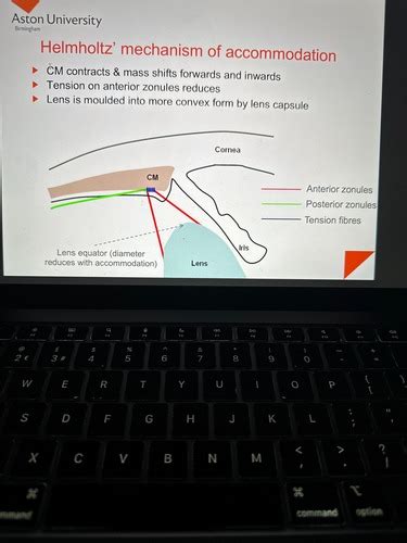 18 Aca Ratio And Cac Ratio Flashcards Quizlet