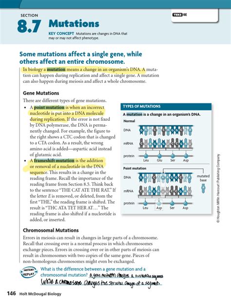 Ch 08 7 Mutations Pdf Mutation Genetic Code