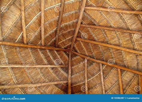 Palapa Tropical Mexico Wood Cabin Roof Detail Stock Image Image Of