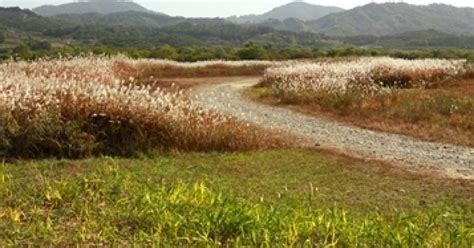 충주 비내길·영동 금강둘레길 가을 비대면 안심관광지 선정