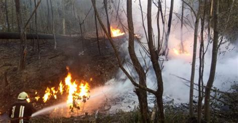 На Івано Франківщині ліквідували пожежу що сталася внаслідок пориву нафтопроводу Читайте на