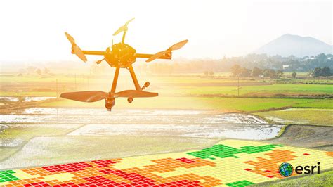 Ai Satellite Imagery For Sustainable Farming And Insurance Innovation Wgic