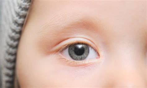 دستاوردی جدید با هوش مصنوعی؛ تشخیص اوتیسم از شبکیه چشم کودکان با دقت