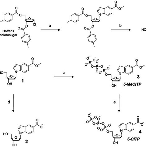 Scheme 2 Synthetic Scheme For The Preparation Of Fluorinated Analogs