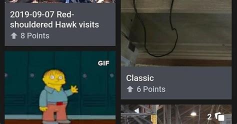Saying Hello To Superintendent Chalmers Album On Imgur