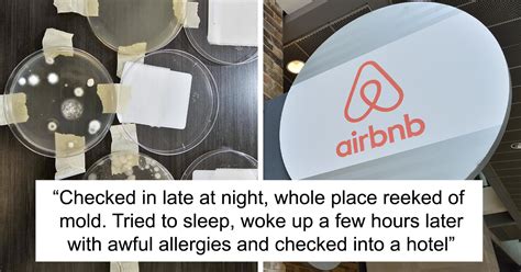 airbnb guest tests air quality due to mold smell as the host denied the