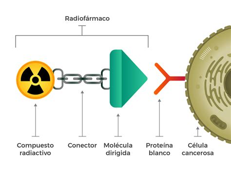 Los Radiofármacos Son La Nueva Terapia Del Cáncer
