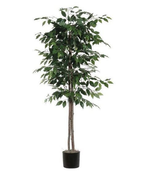 Outrageous Ft Artificial Outdoor Trees Three Ball Tree