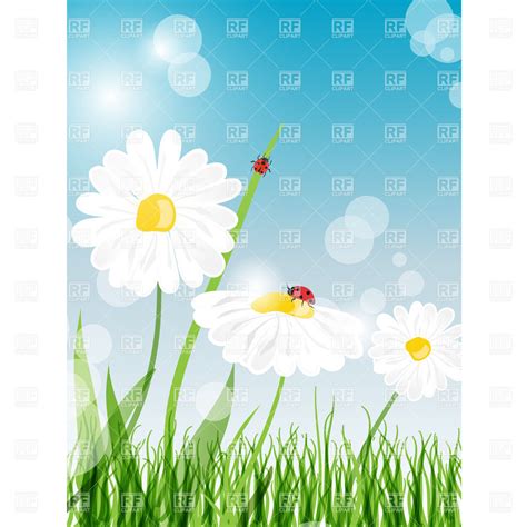 Daisy Vector Art At Collection Of Daisy Vector Art Free For Personal Use