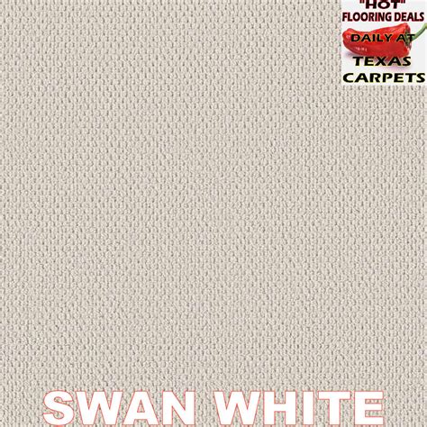 Perspective Path Shaw