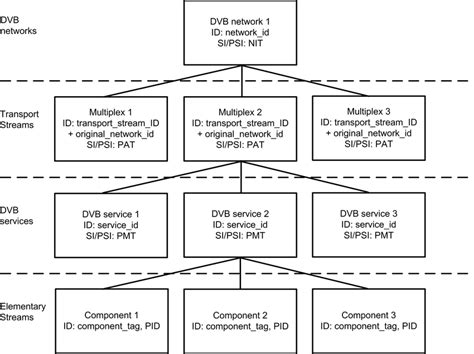 Relation Between Dvb Networks Transport Streams Dvb Services And