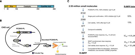A Small Molecule Anti Secretagogue Of Pcsk9 Targets The 80s Ribosome To