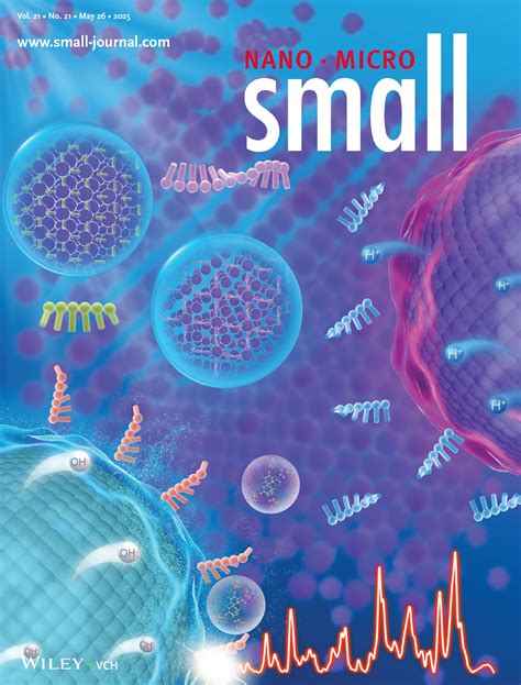 Small Vol 21 No 21