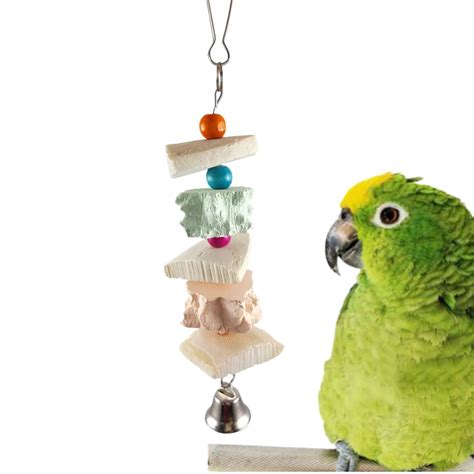 Natural Cuttle Bone Chew And Bell Toy Globitoa