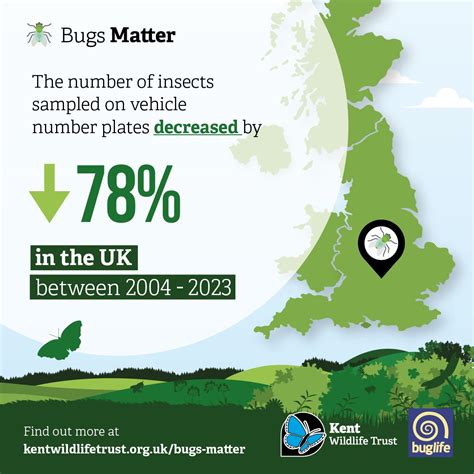 Buglife On Linkedin Bugsmatter Insectdecline Wildlifewednesday