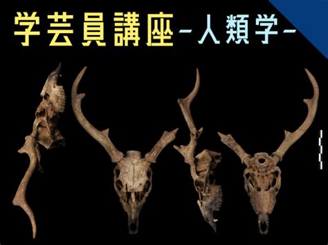 博物館学芸員講座「久米島町下地原洞穴遺跡に旧石器時代の人類活動痕跡を探る」 イベント 沖縄県立博物館・美術館（おきみゅー）