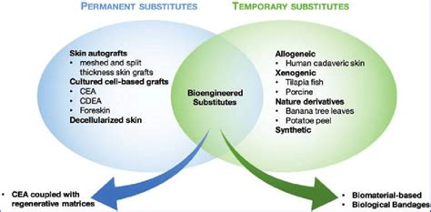 Skin Substitutes Classified Into Permanent And Temporary Substitutes